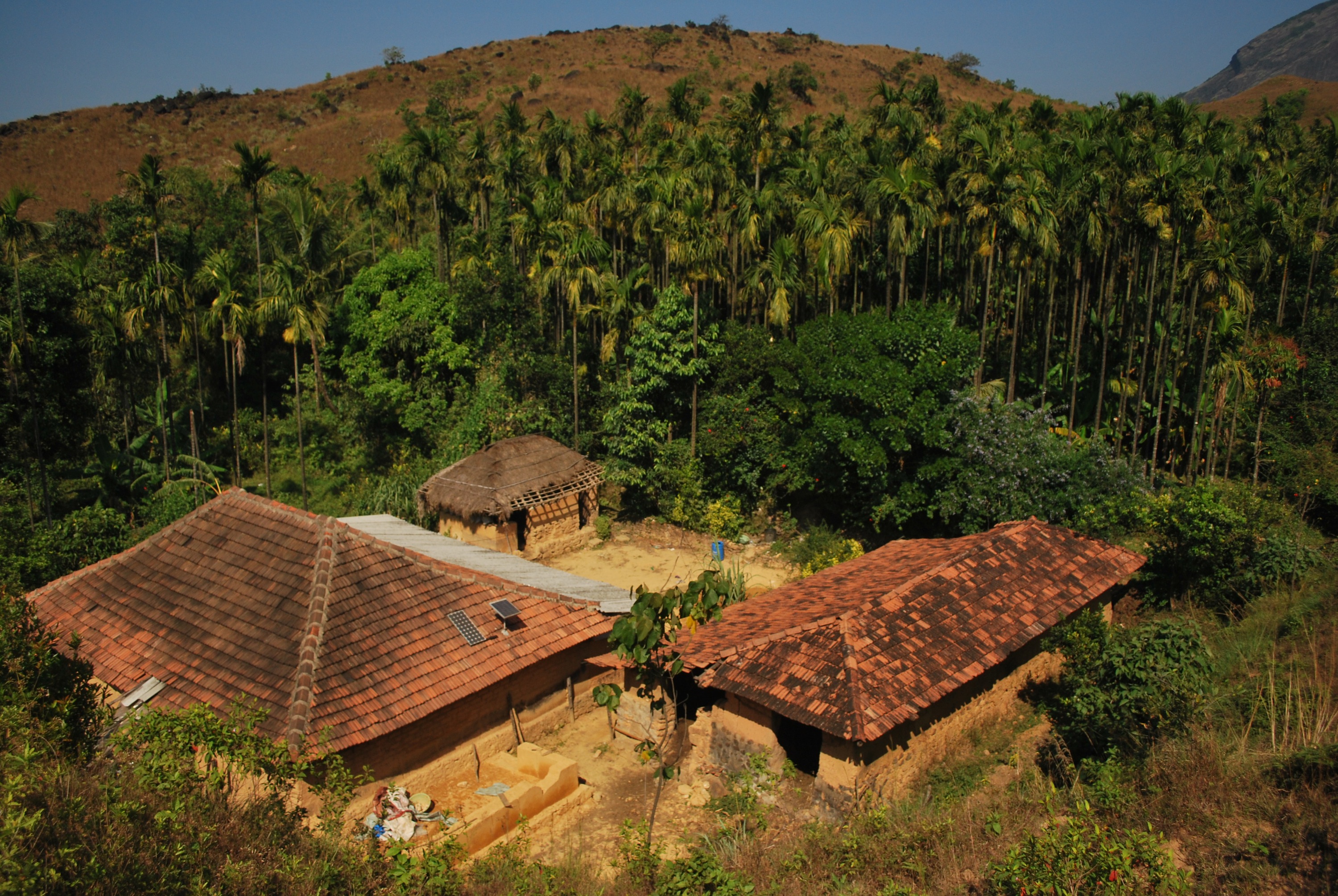 Kumara Parvatha Trek - Milestones of this weekend getaway trek