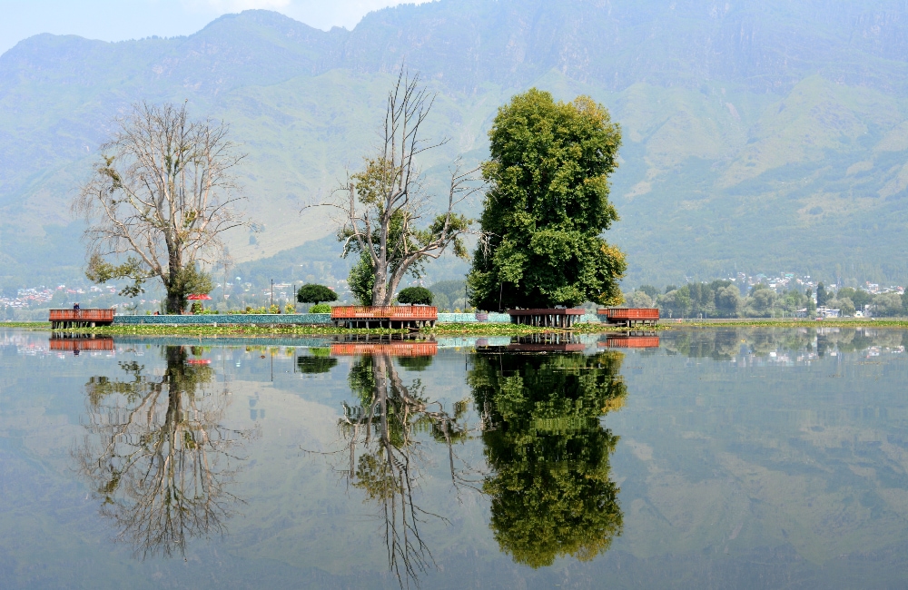 Dal Lake Kashmir Char Chinar