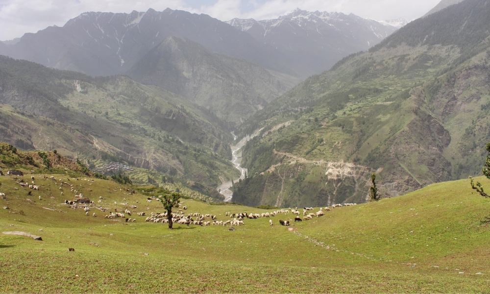 5 highlights of the Baraadsar Lake Trek in Uttarakhand