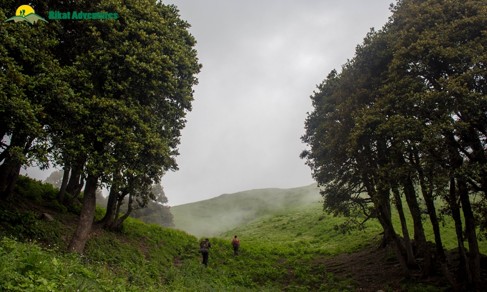 Visual Narration Kalihani Pass Trek