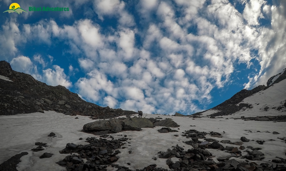 Visual Narration Kalihani Pass Trek