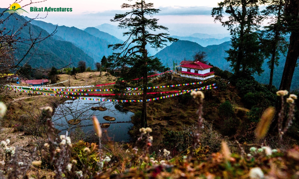 Highlights of the Goechala Trek | Bikat Adventures