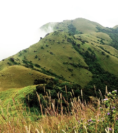 Tadiandamol Trek - Highest Peak in Coorg - Bikat Adventures