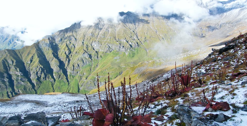 Nanda Devi Base Camp Trek - Bikat Adventures
